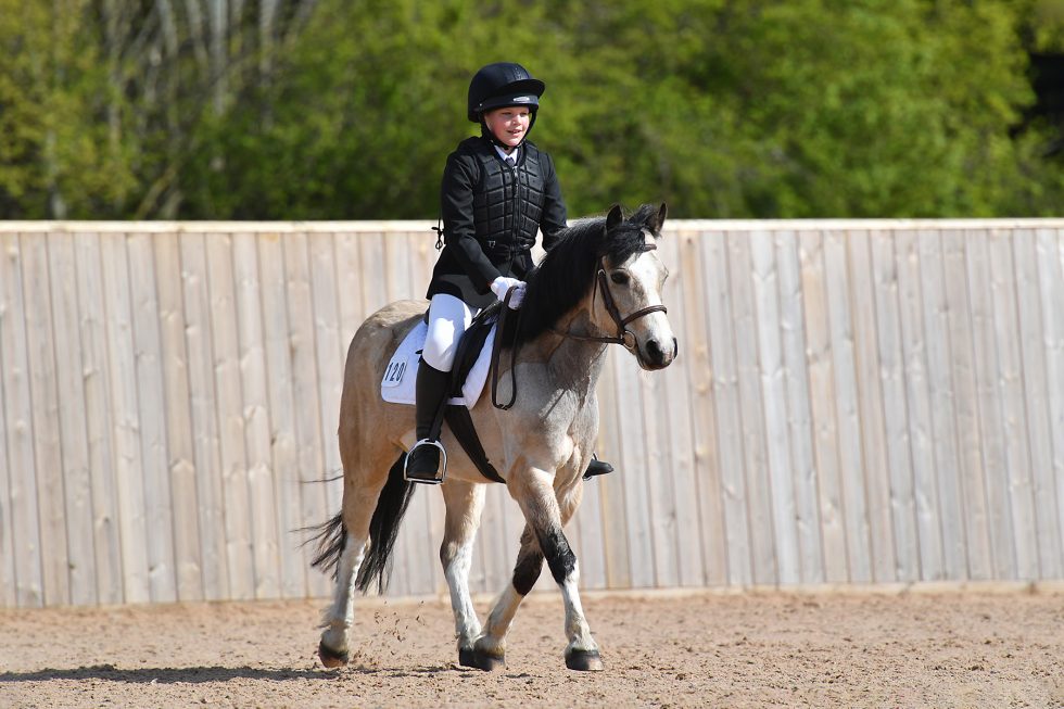 Equestrian Events | Dressage, Jumping and Showing Shows