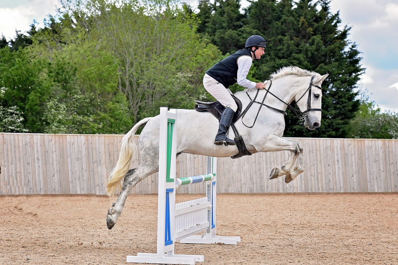 Equestrian Events | Dressage, Jumping and Showing Shows