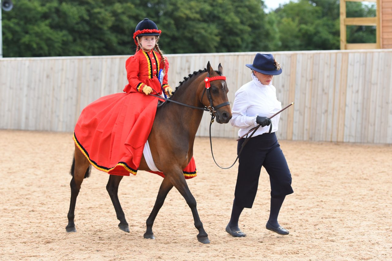Equestrian Events | Dressage, Jumping and Showing Shows