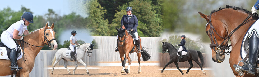 Dressage Shows | Equestrian Events